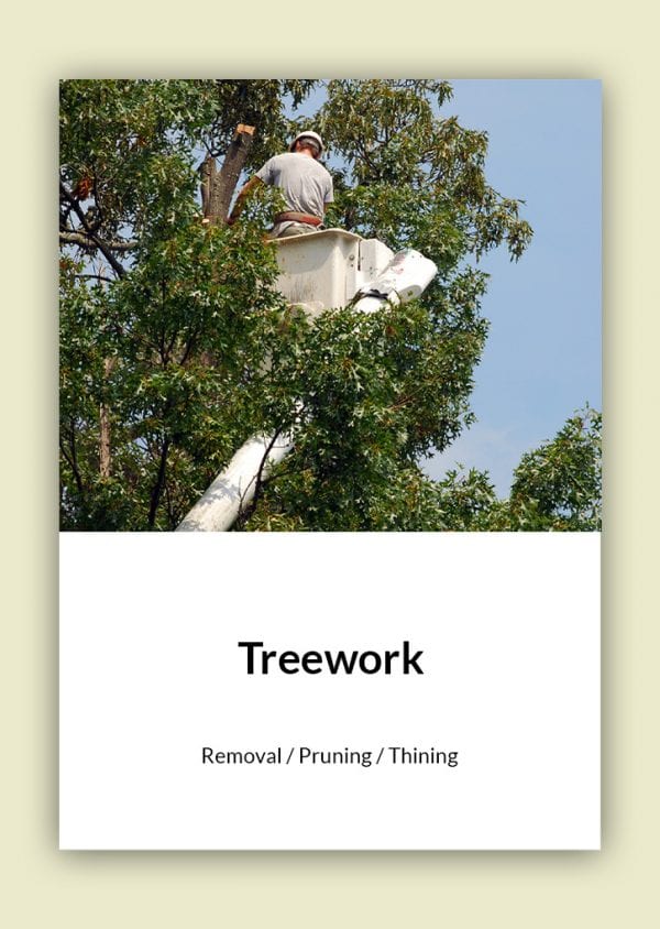 Daniel Bunting Garden Contractors - landscaping and rural services