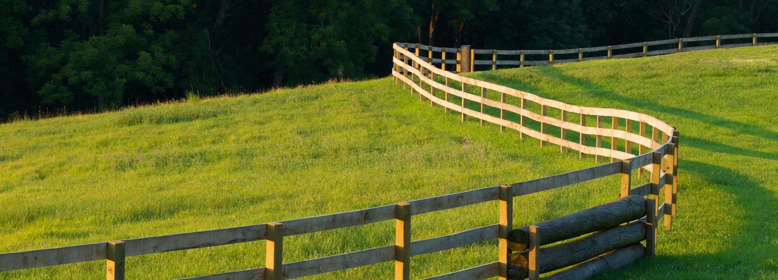 Our Approach - Daniel Bunting Landscape Gardeners, Tring, Hertfordshire